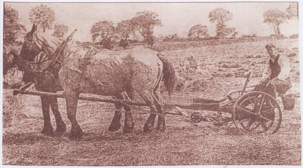 A Hillfields History | Local Learning